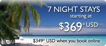 Ashley Perrett Real Estate & Design